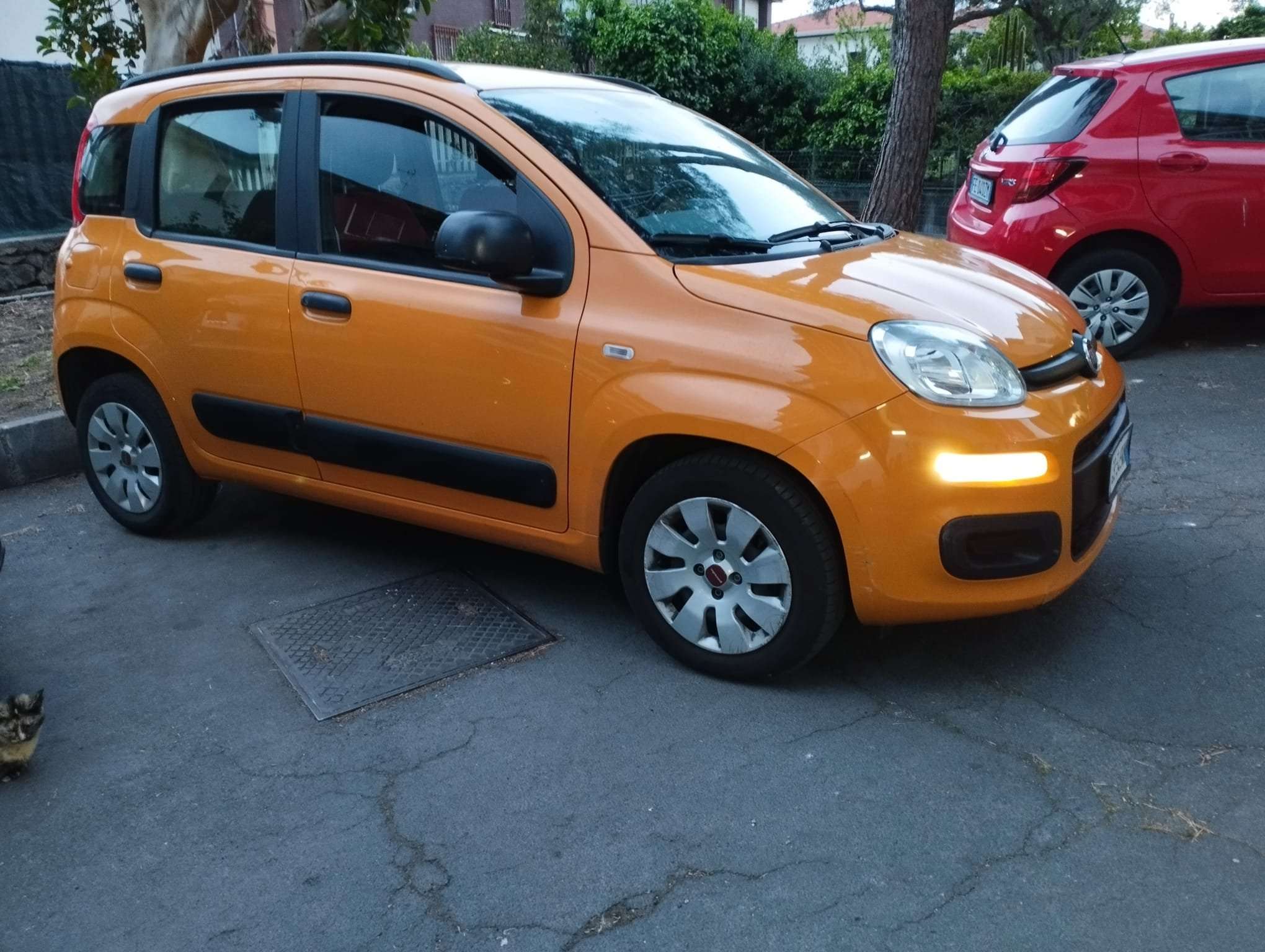 Fiat Panda1.2 Easy