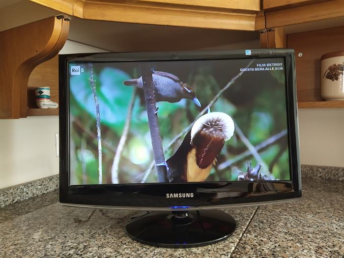 TV SAMSUNG 18 POLLICI MOD. LS19CFVKF/EN