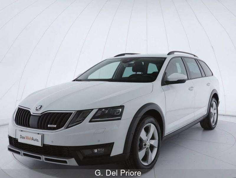 Skoda Octavia2.0 TDI CR 150 CV 4x4 DSG Wagon Scout