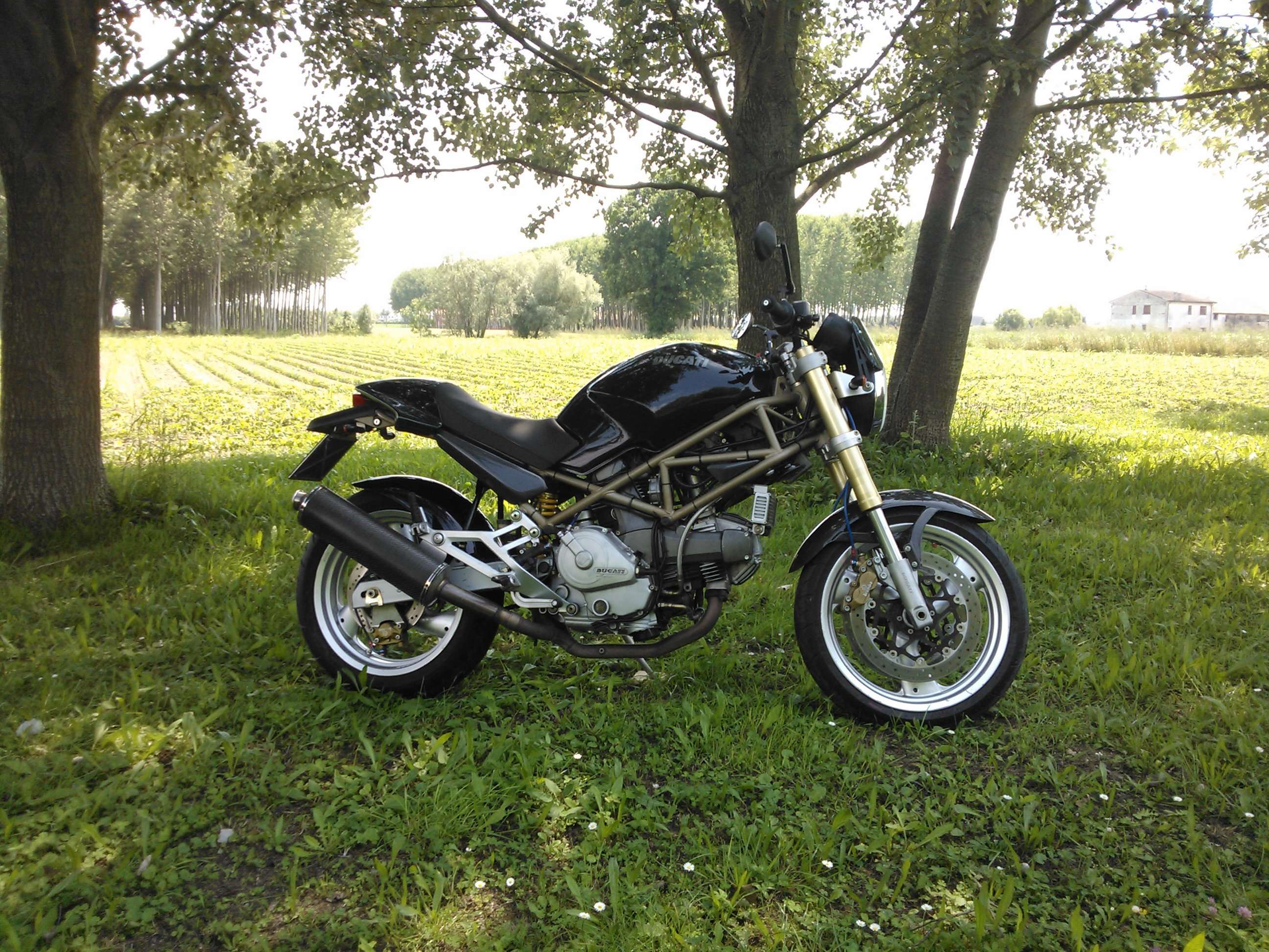 Ducati Monster 750Monster 750 carburatori