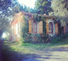 Vieste villa con giardino vicino al mare