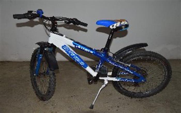 MOUNTAIN BIKE PER BAMBINO