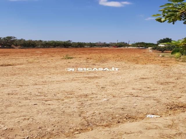 Vendita terreno agricolo con rudere