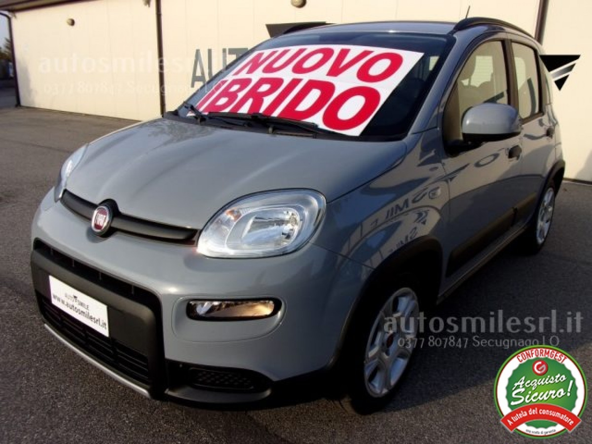 FIAT Panda 3ª serie Panda 1.0 FireFly S&S Hybrid