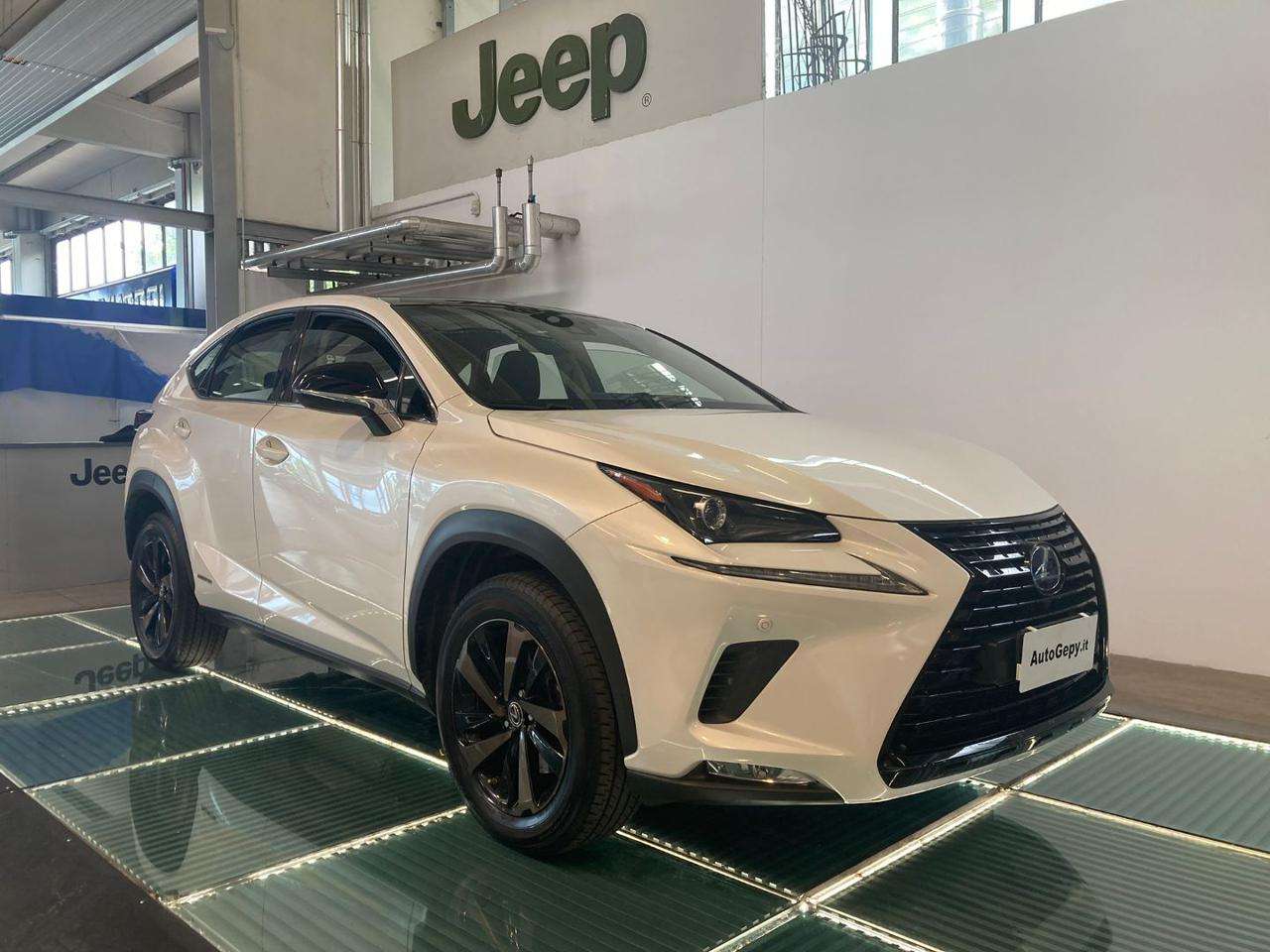 Lexus NX 300Hybrid 4WD Luxury