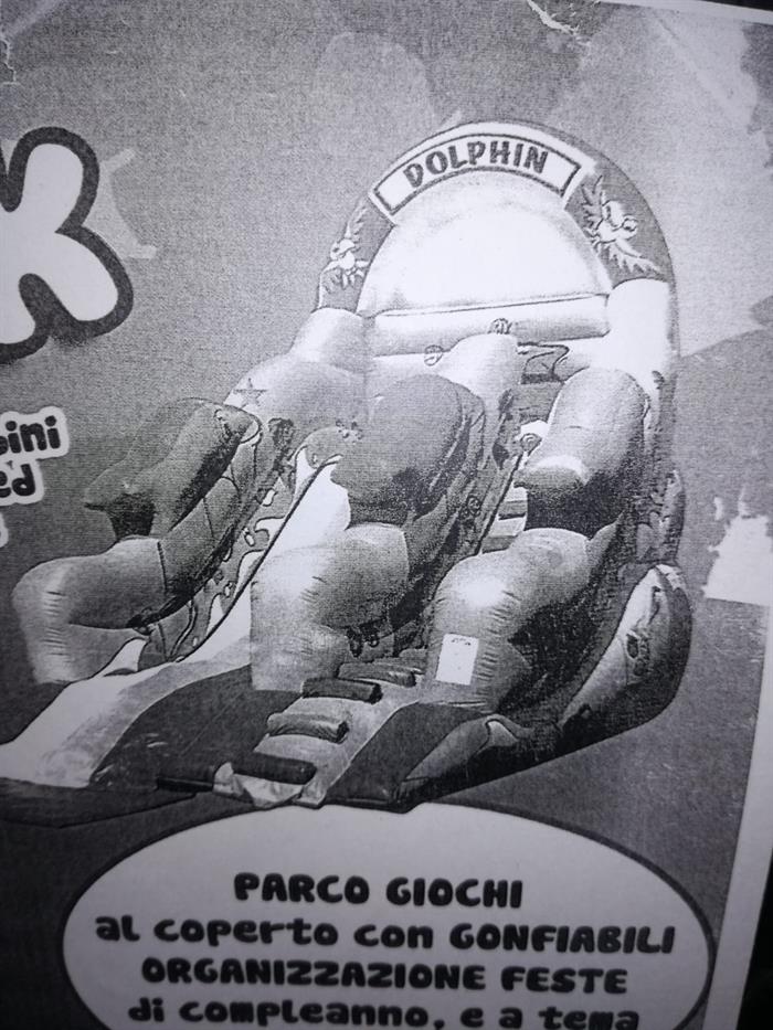 GIOCHI GONFIABILI