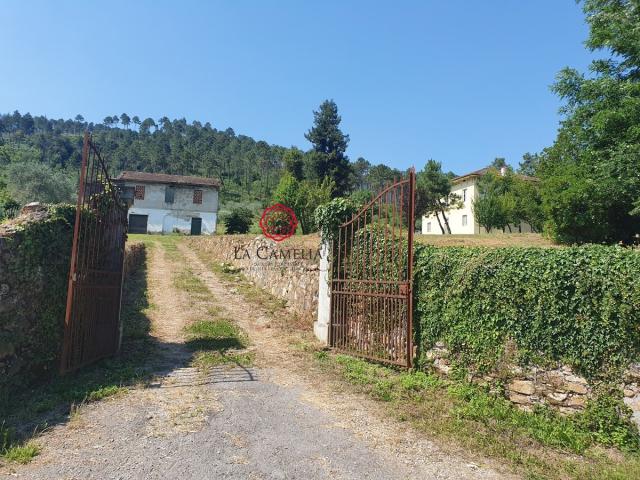 Villa padronale da ristrutturare a pochi km da lucca