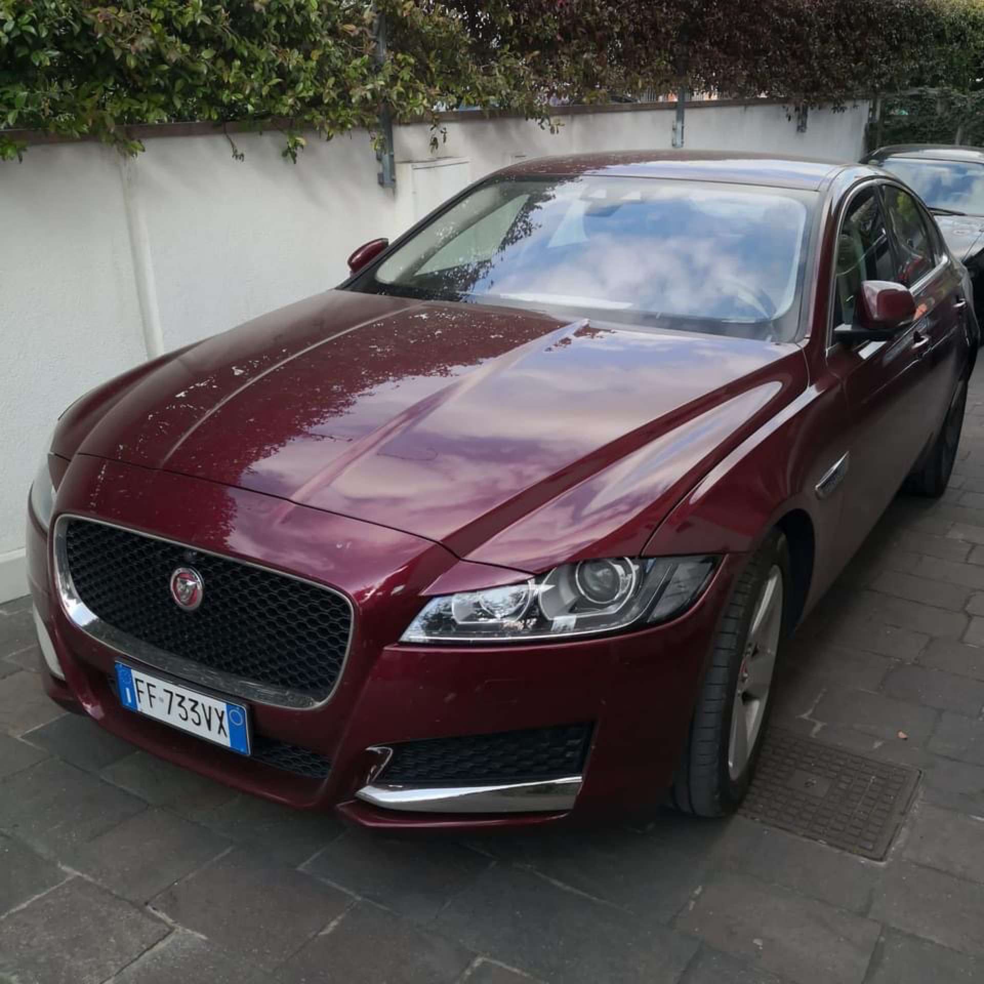 Jaguar XF2.0d Portfolio awd 180cv auto