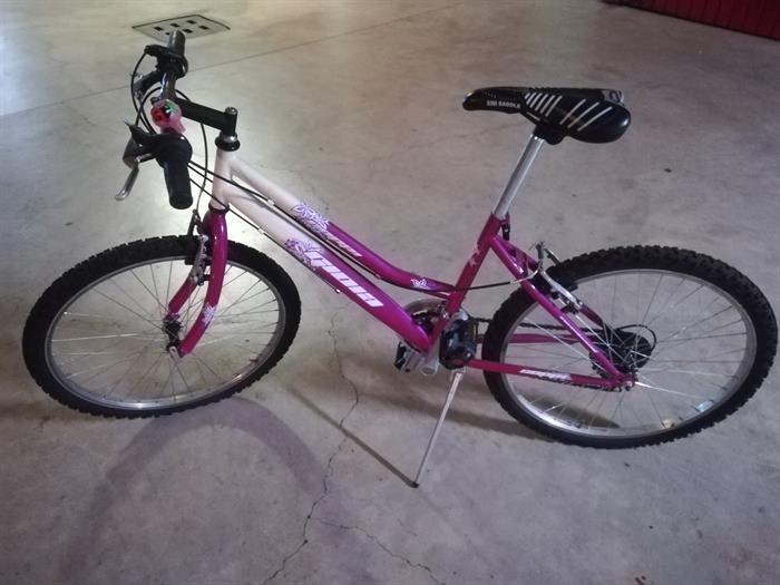 DUE BICICLETTE MTB