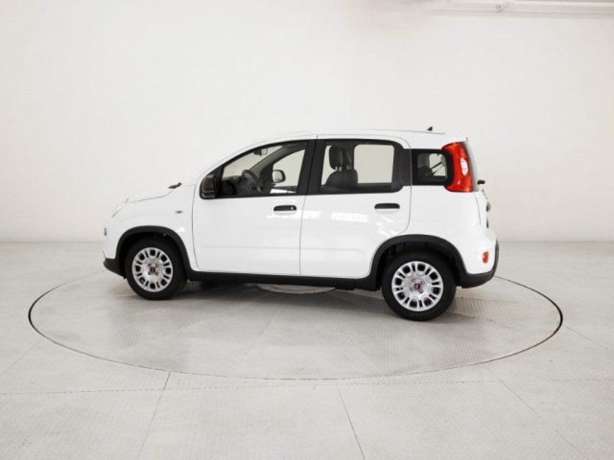 FIAT Panda 3ª serie Panda 1.0 FireFly S&S Hybrid