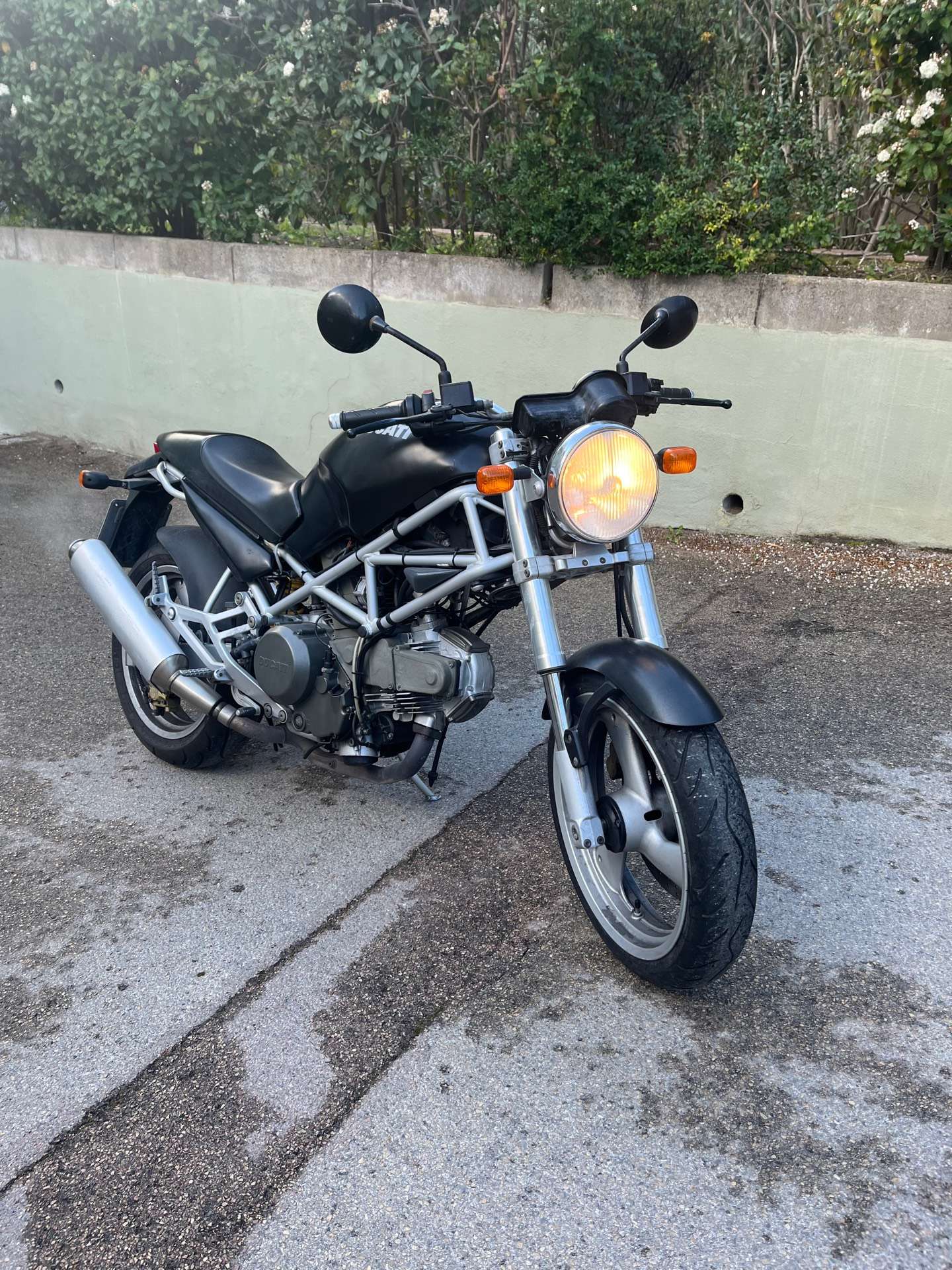 Ducati Monster 600Dark