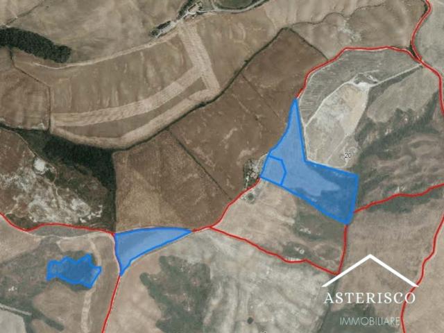 Terreni agricoli -  asciano  (si) e castelnuovo berardenga (si)