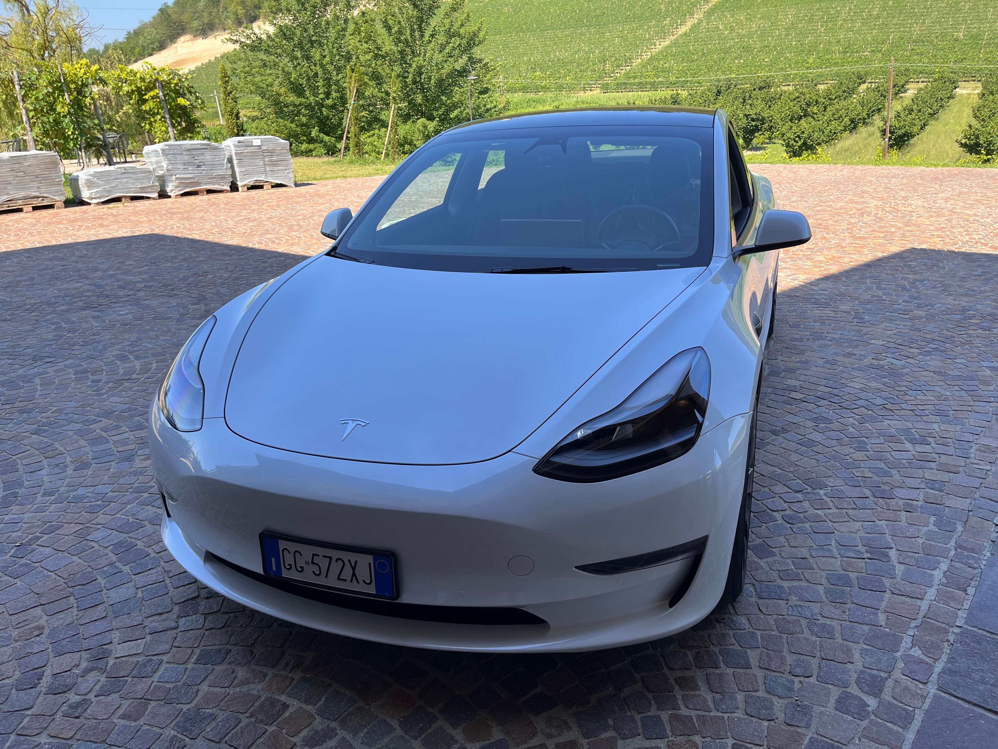 Tesla Model 3Model 3 Performance Dual Motor awd