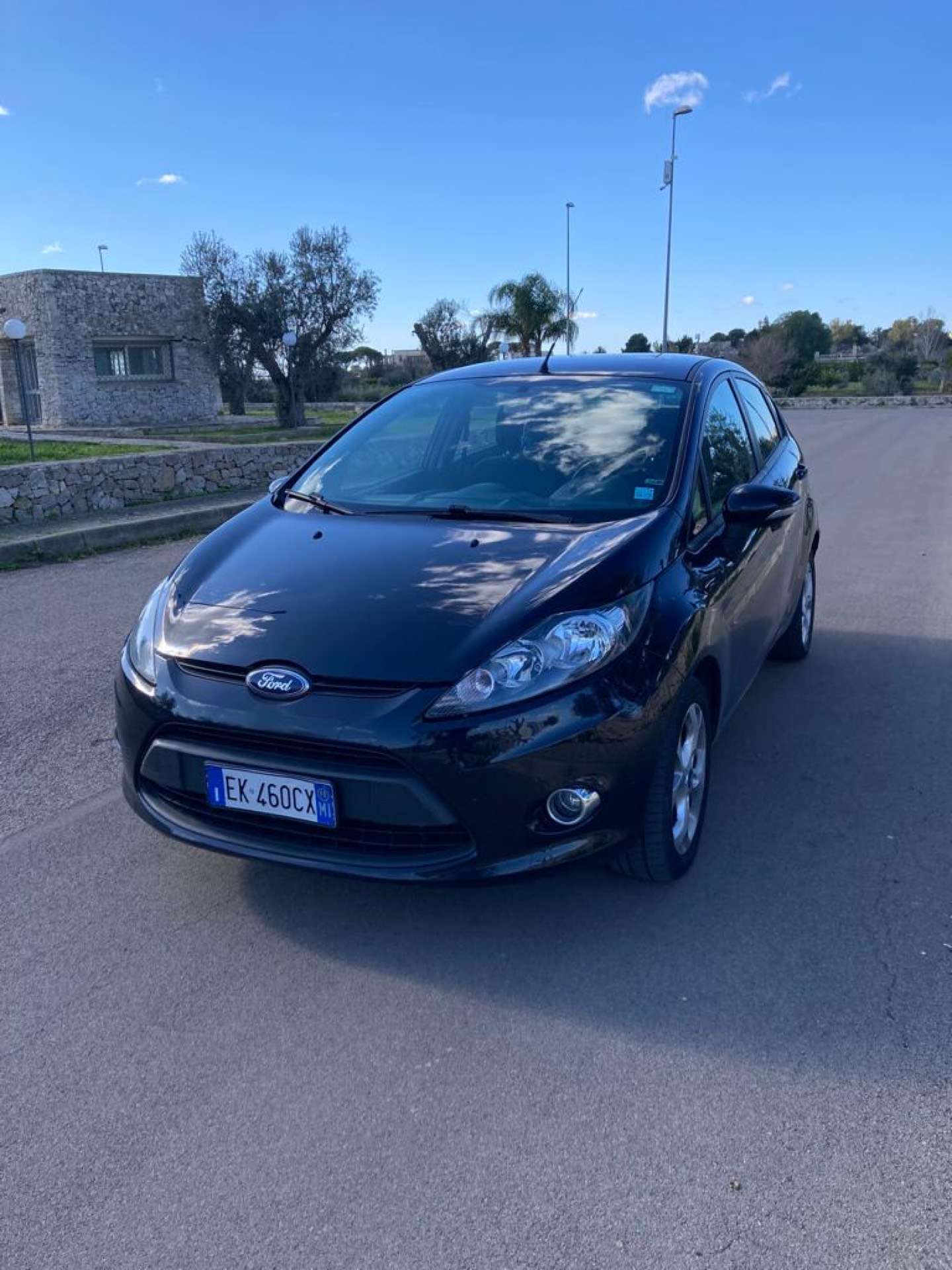 Ford Fiesta5p 1.4 tdci Ikon Business 70cv