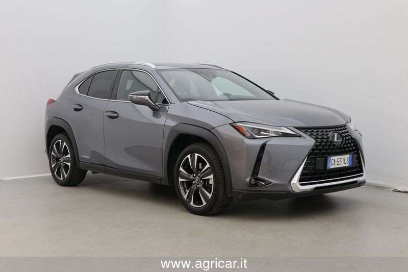 Lexus UX 300eHybrid Premium 2.0 2wd cvt