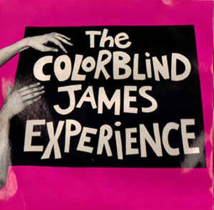 CD THE COLORBLIND JAMES EXPERIENCE