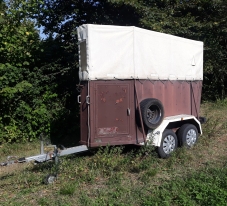 Trailer cavalli asini