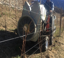 Atomizzatore cingolato da vendere