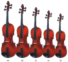 Lezioni di violino a domicilio o presso la scuola 