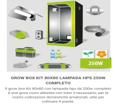 Grow box per 4 piante 