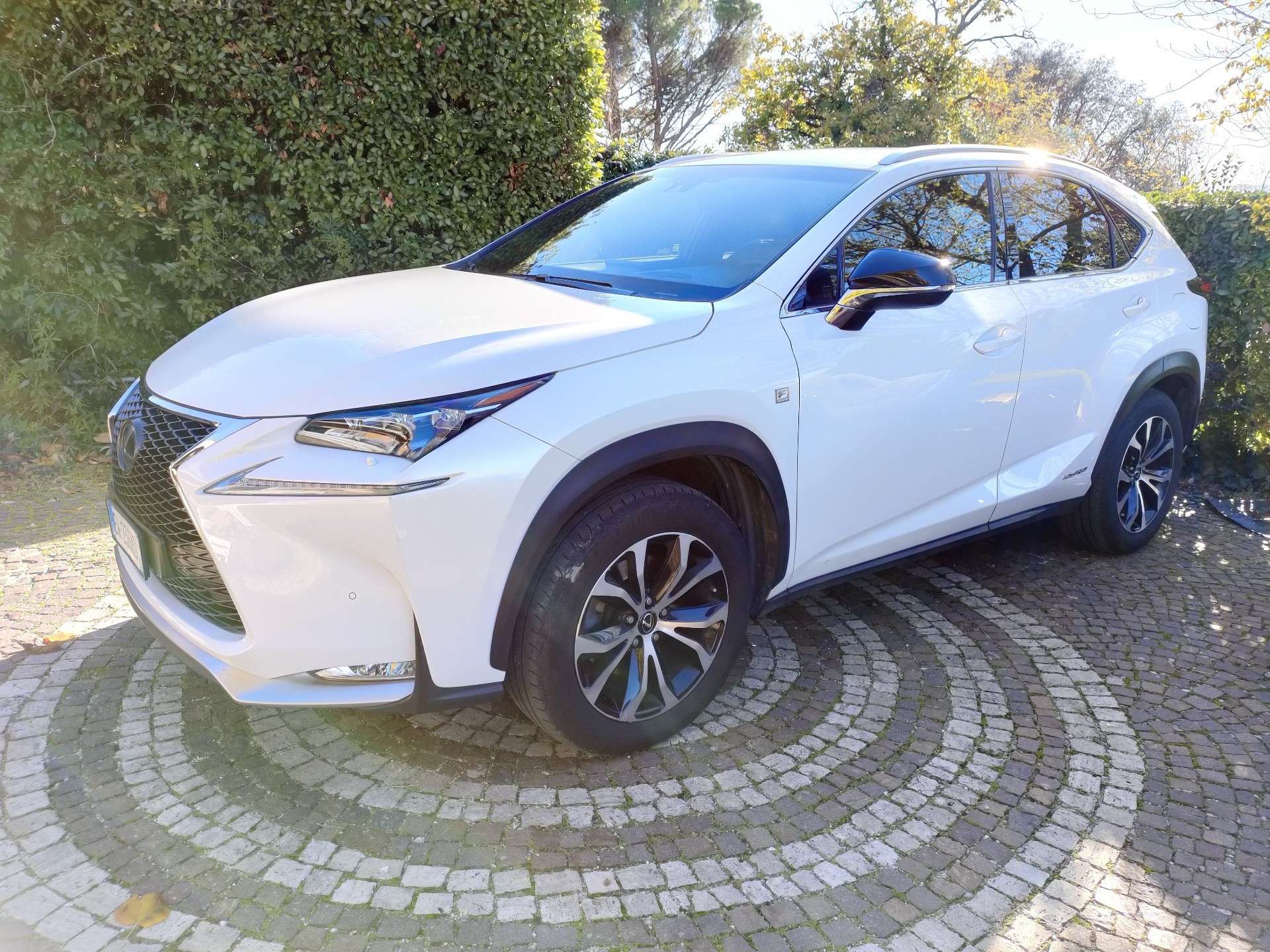 Lexus NX 300300h 2.5 F-Sport 4wd cvt