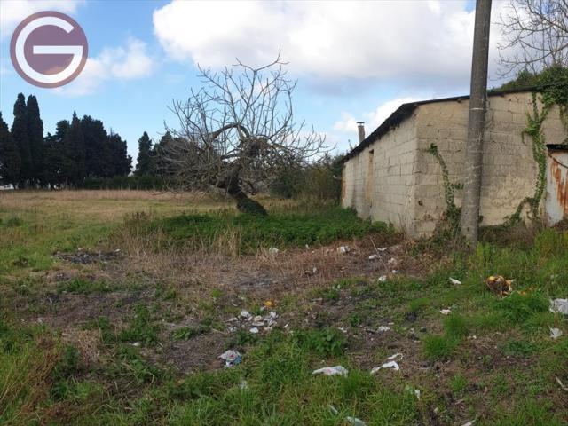 Terreno industriale in vendita a cittanova centrale