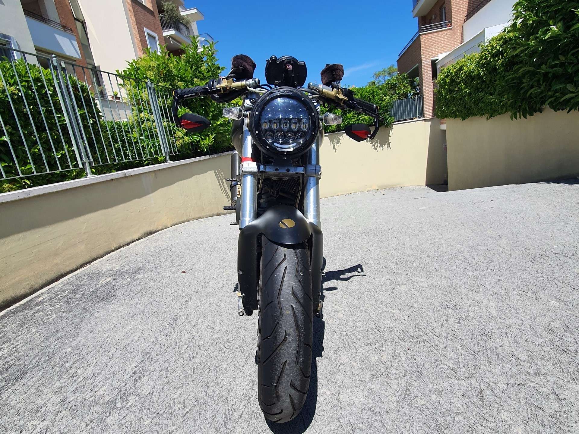 Ducati Monster 600dark