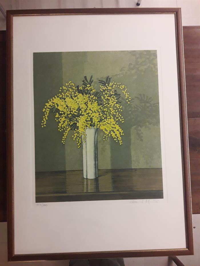 MIMOSE DI MARZO LITOGRAFIA