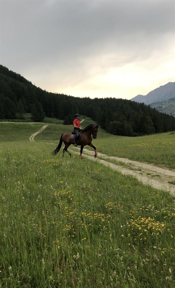 CAVALLO PRE IN FIDA