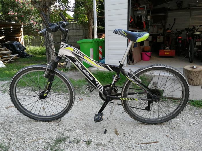 MOUNTAIN BIKE AMMORTIZZATA