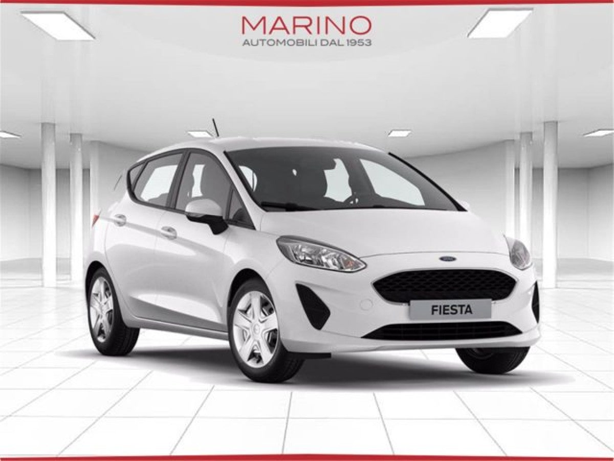 FORD Fiesta 7ª serie Fiesta Active 1.0 Ecoboost 95 CV