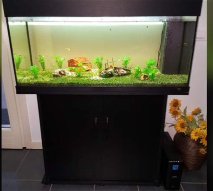 ACQUARIO JEWEL CON MOBILETTO LT.180