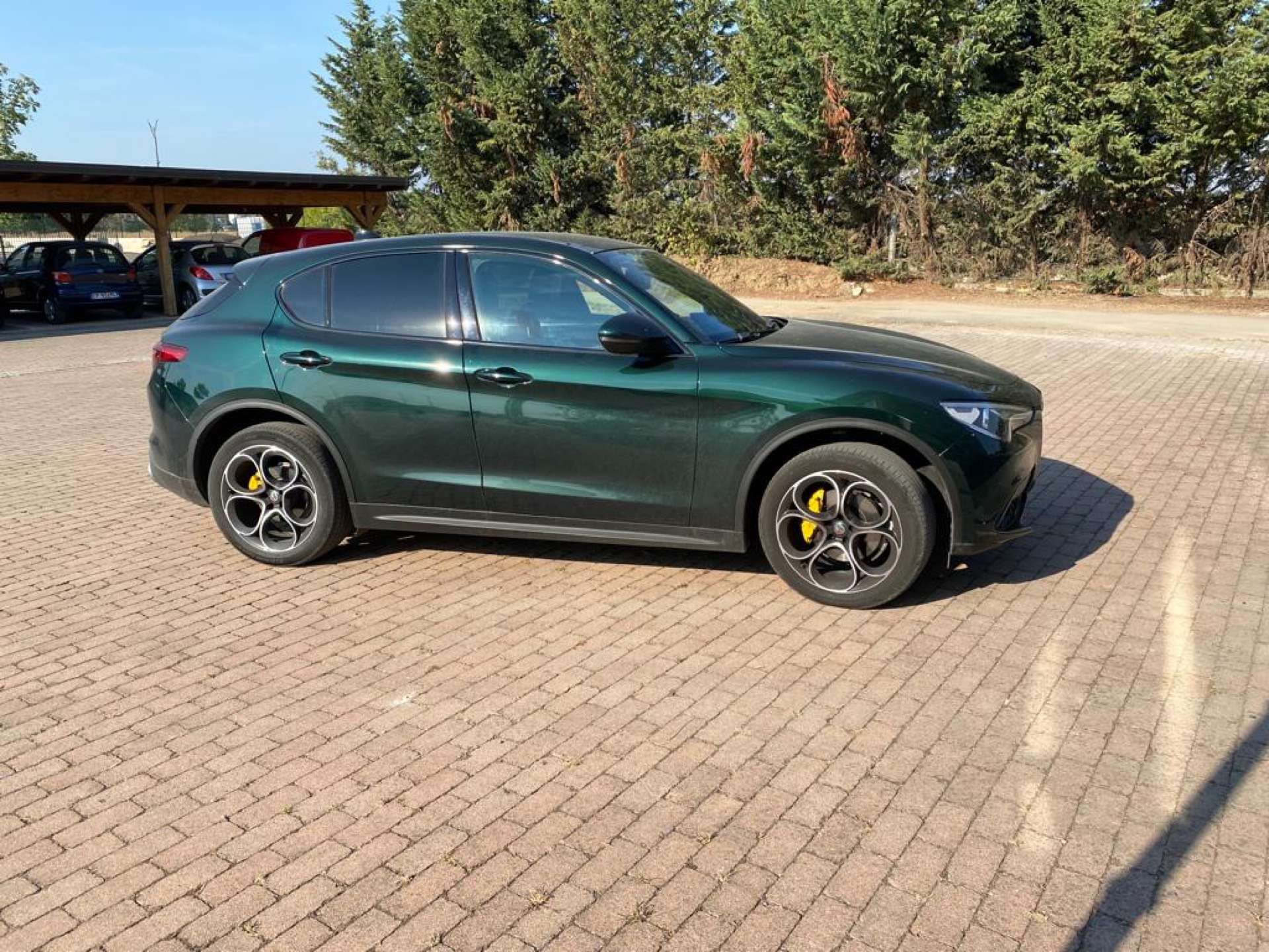 Alfa Romeo Stelvio2.2 t Business Q4 210cv auto my19