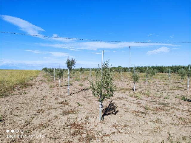 Terreno agricolo in vendita a cerignola via melfi