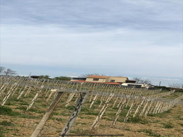 Terreno agricolo in vendita a loreto aprutino periferia