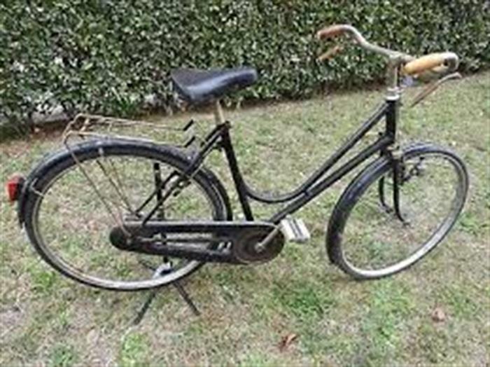 BICICLETTA ARCADIA VINTAGE DONNA