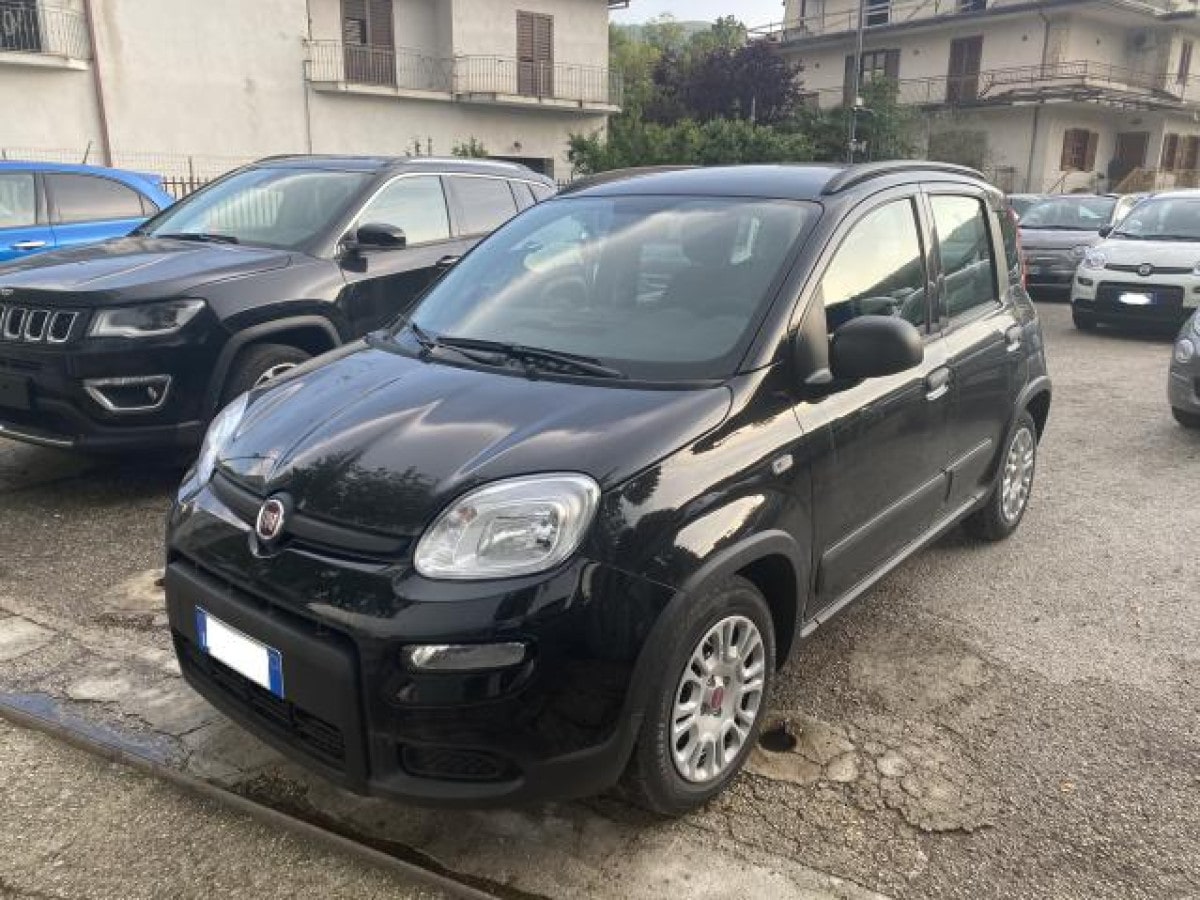 FIAT Panda 3ª serie Panda 1.0 FireFly S&S Hybrid City Cross