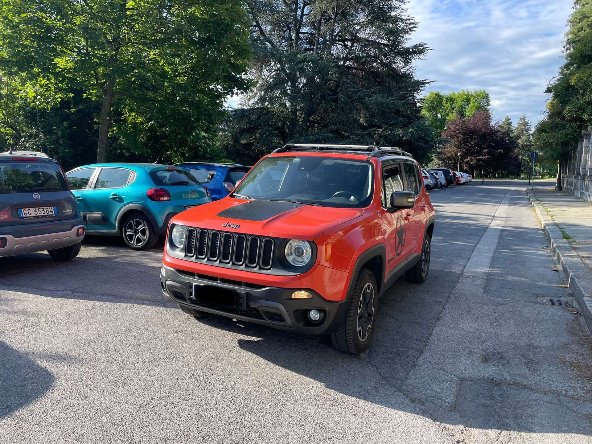 Jeep RenegadeRenegade 2.0 mjt Trailhawk 4wd 170cv auto