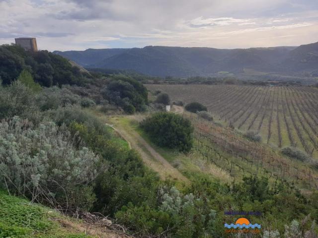 Terreno agricolo con annesso locale deposito