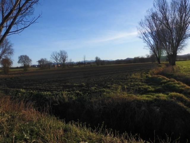 Terreno agricolo di 8 ha fidenza