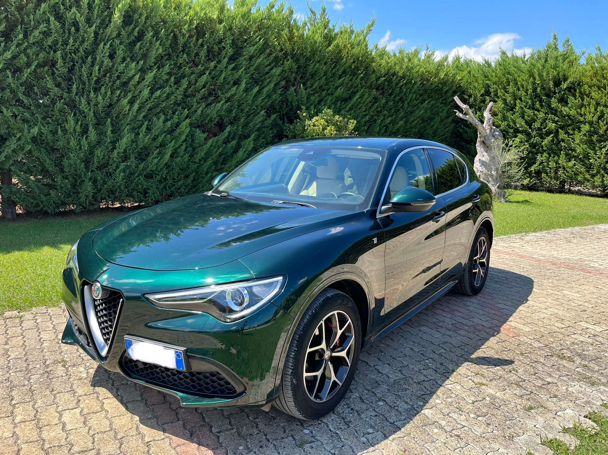 Alfa Romeo Stelvio2.0 t Ti Q4 280cv auto