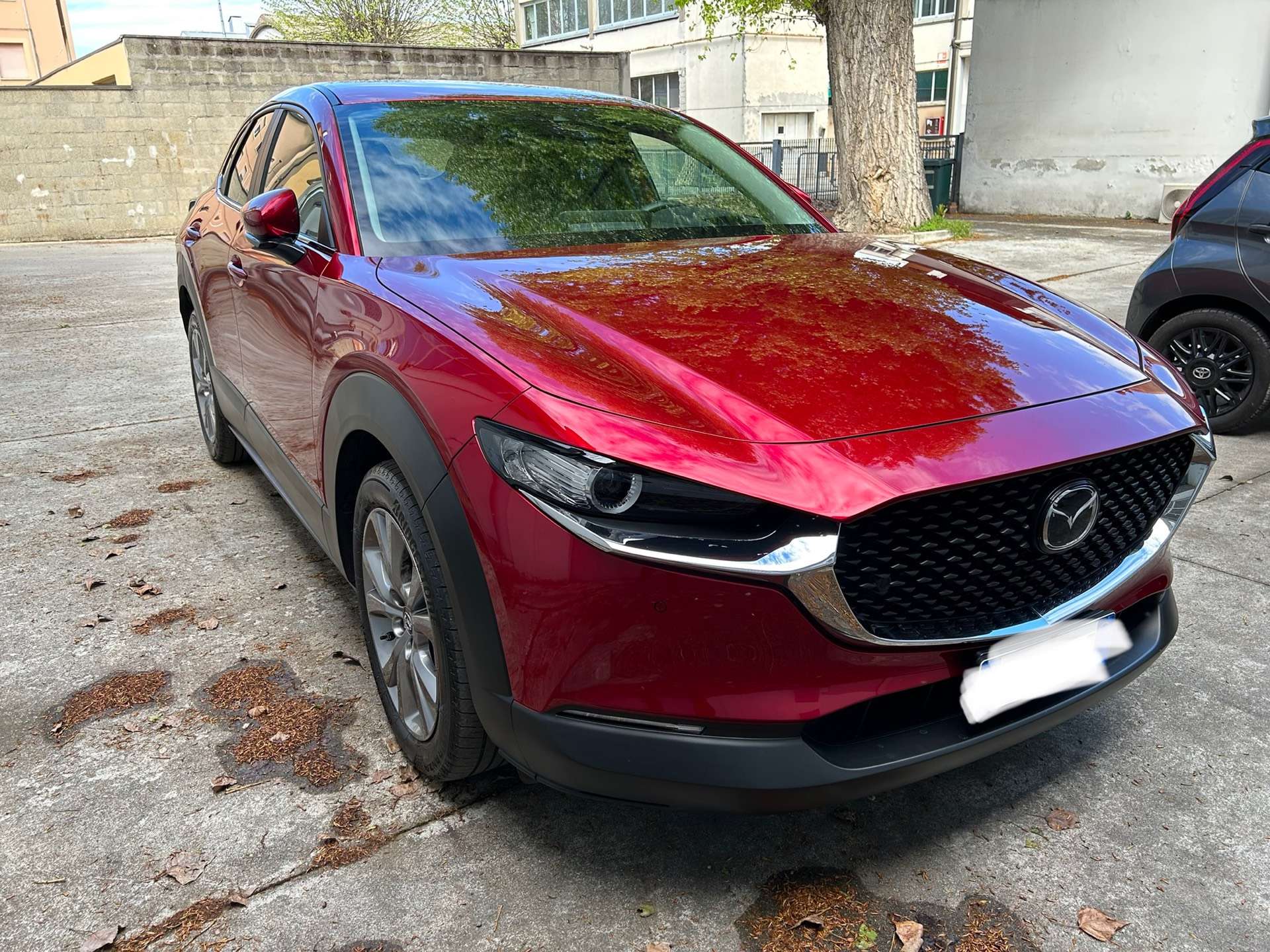 Mazda CX-302.0 m-hybrid Executive 2wd 122cv 6mt