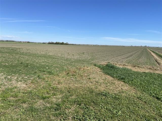 Terreno agricolo di 8 ettari con pozzo a corpo unico