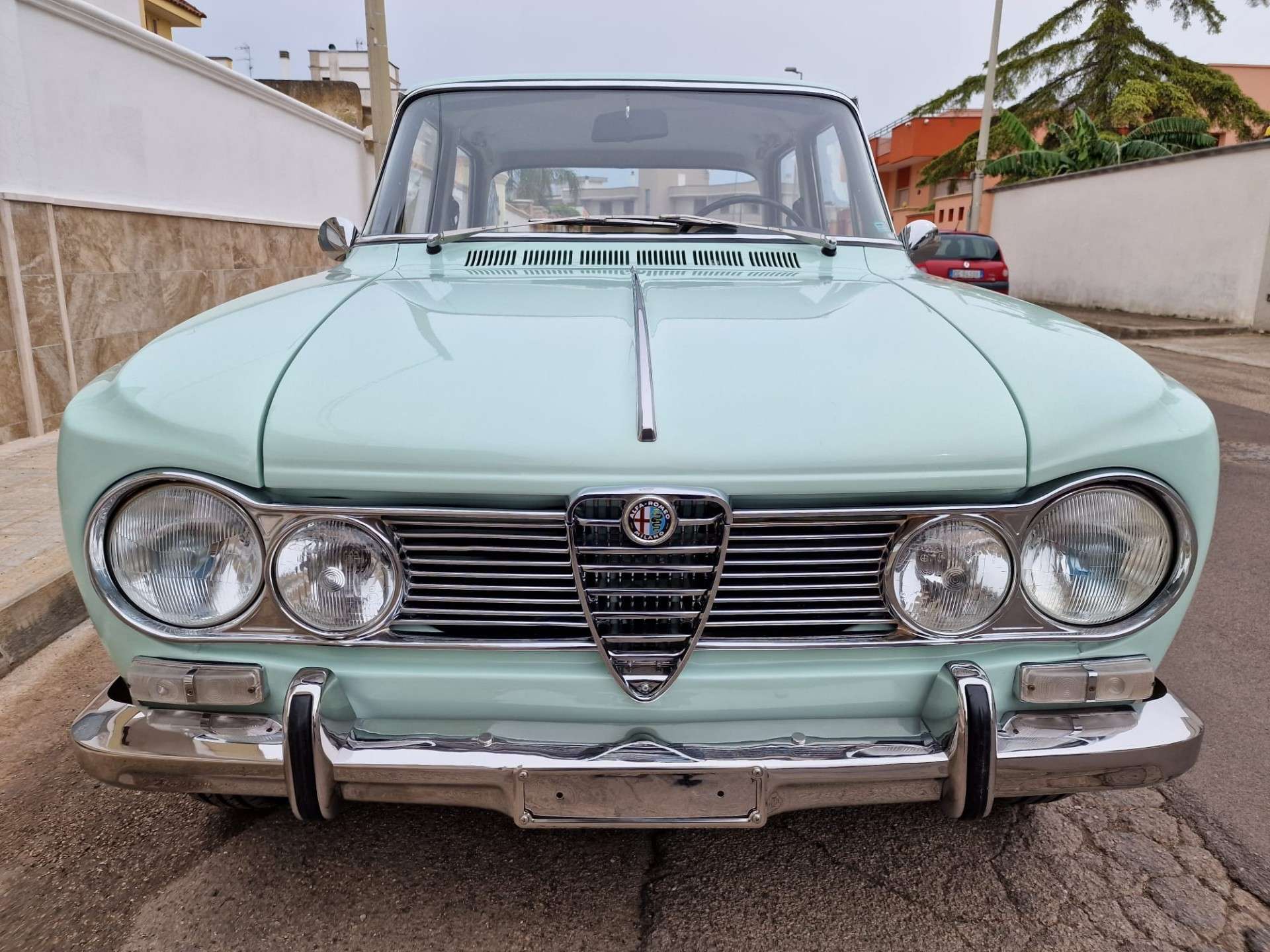 Alfa Romeo GiuliaGiulia Super Bollino Oro 1.600 - Prima serie