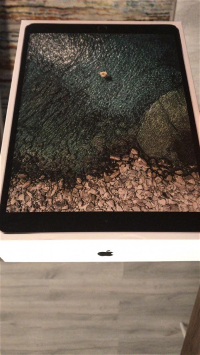 IPAD PRO 10.5