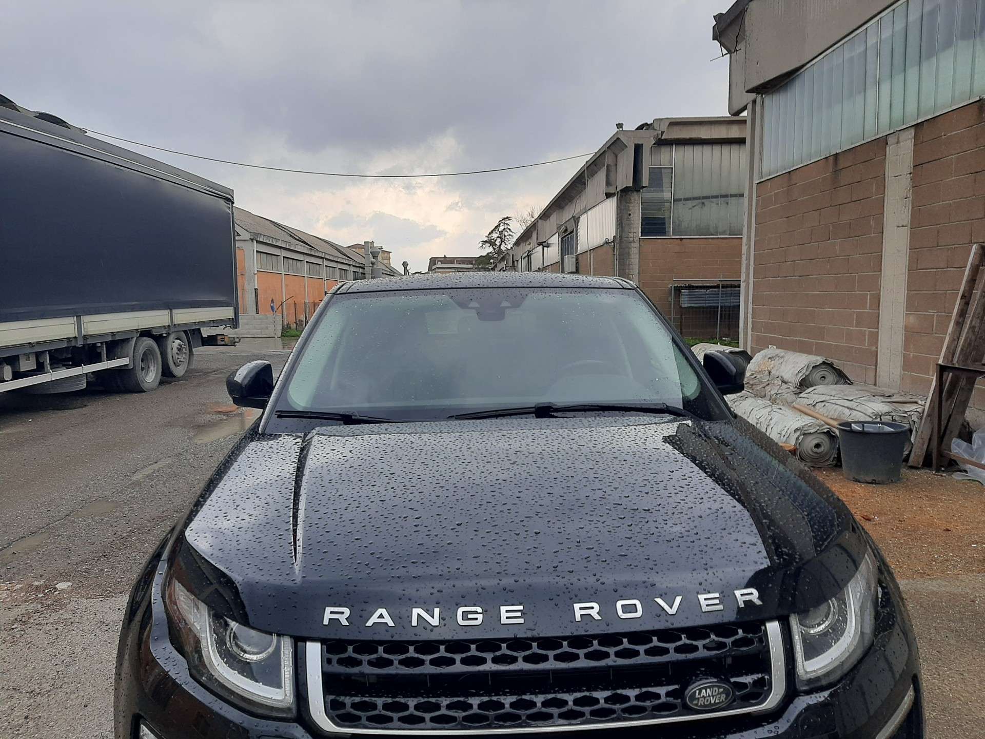 Rover in pelle