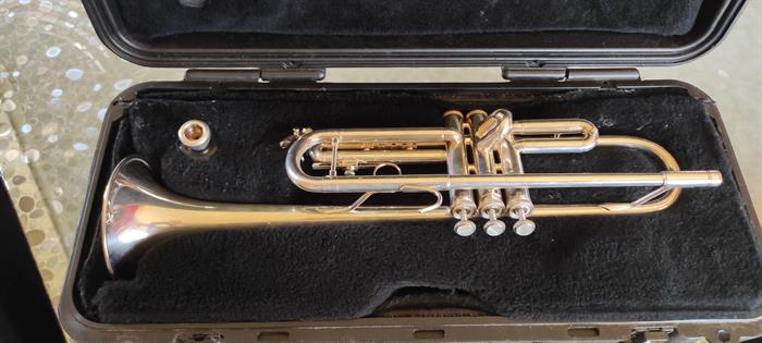 TROMBA BACH TR 300