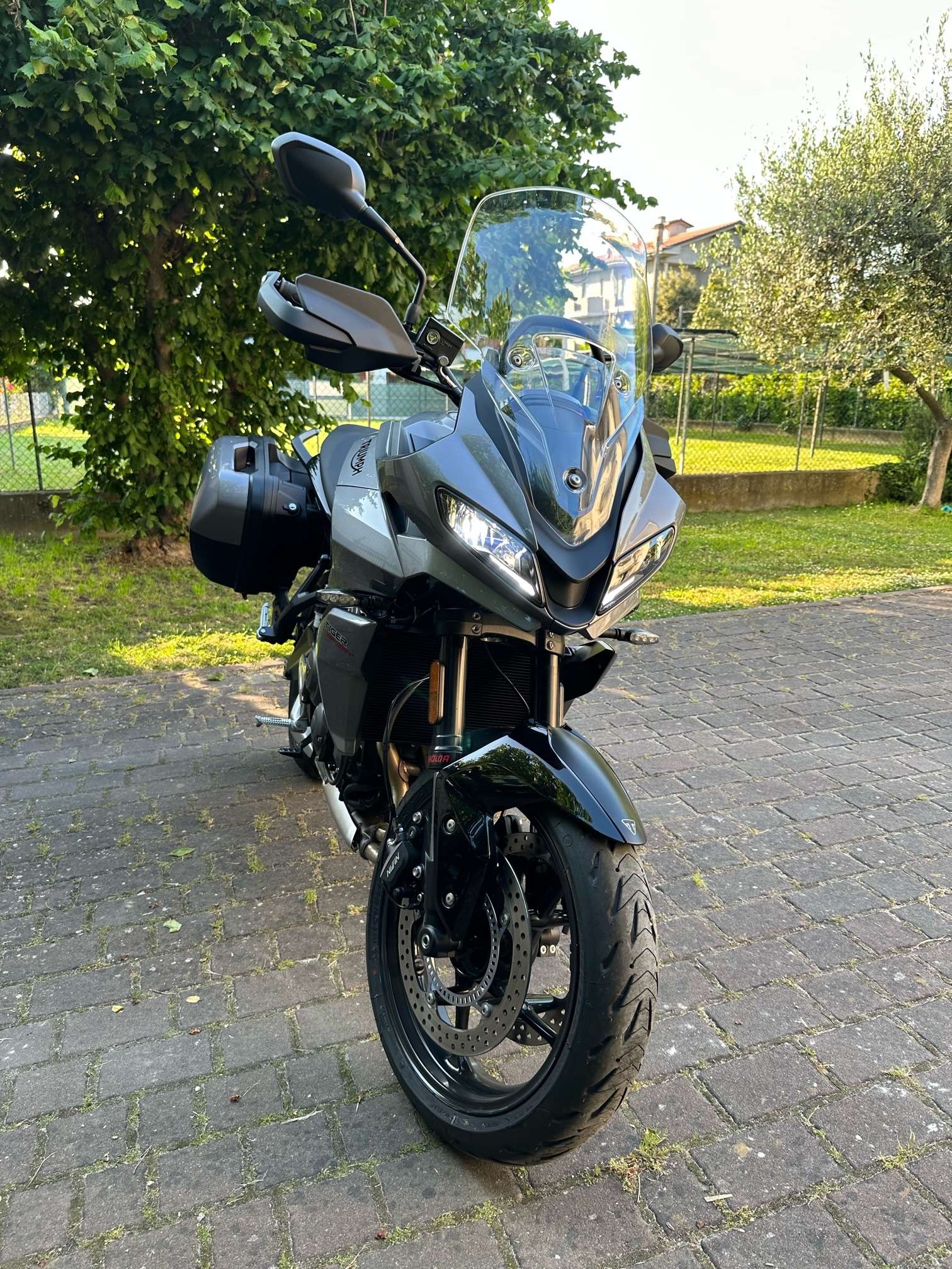 Triumph Tiger Sport660