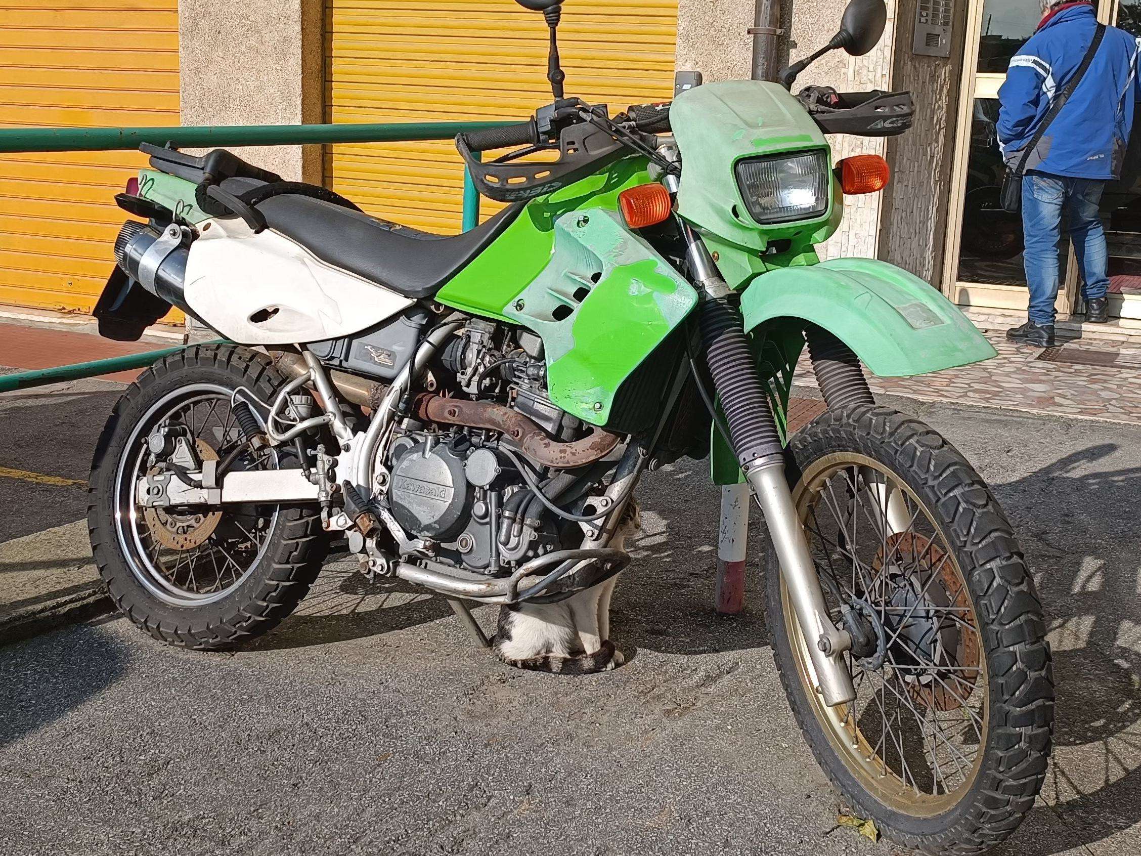 Kawasaki KLR 650