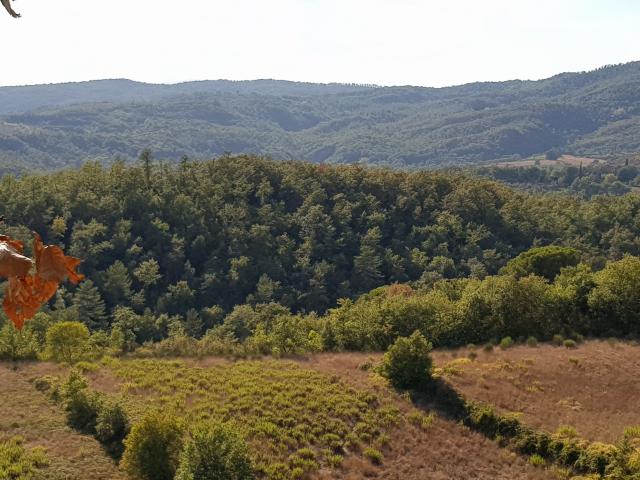 Terreno edificabile - loc. poggio cuculo-il pino -  capolona (ar)